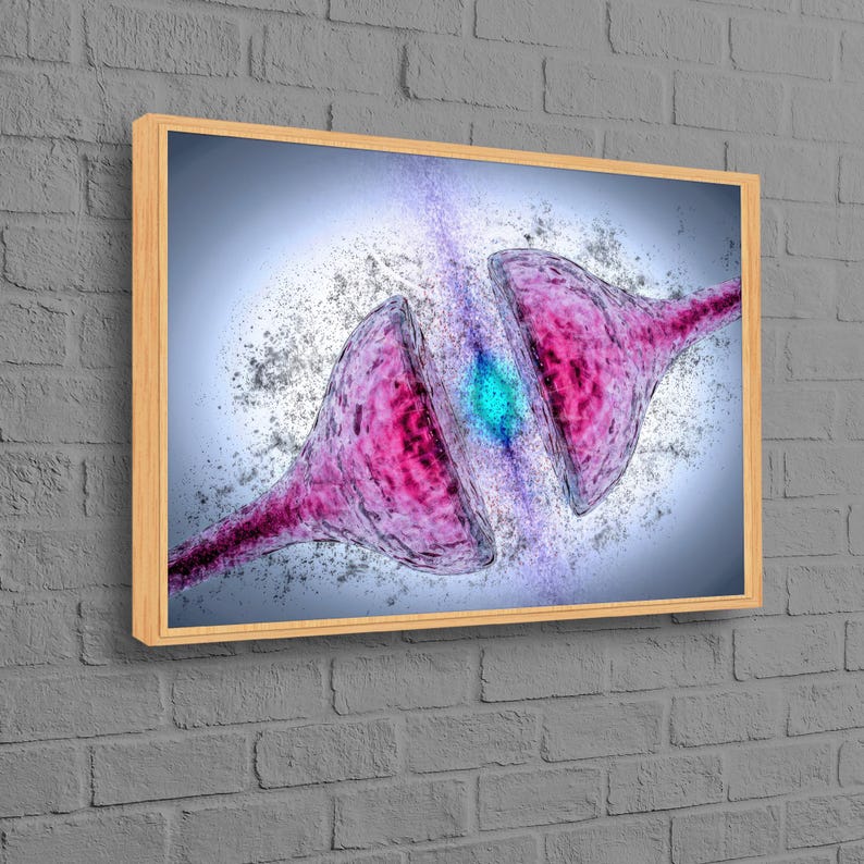 Science Neurology Brain Art, Science Wall Hangings, Synapses Cortical ...