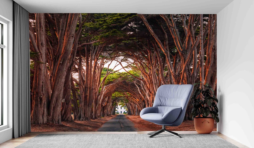 View Mural, Tree Tunnel Wall Decals, California Cypress Tree Tunnel ...