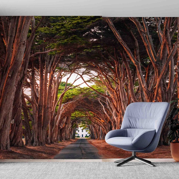 Tunnel Wall Decals - Etsy