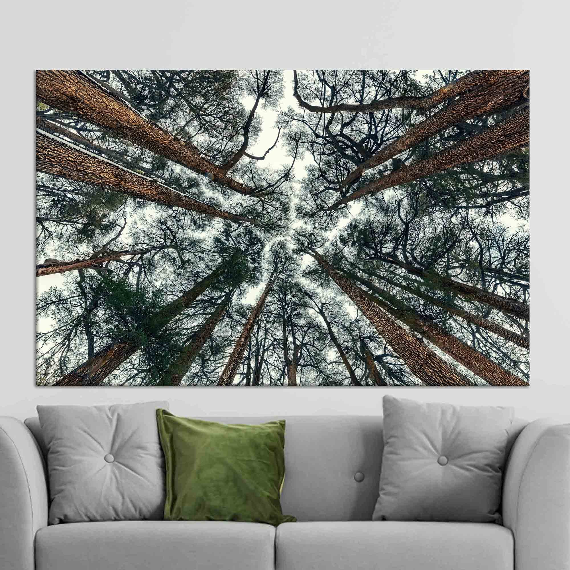 Forest Canopy Perspective Canvas Wall Art – Tall Pine Tree Nature Print ...