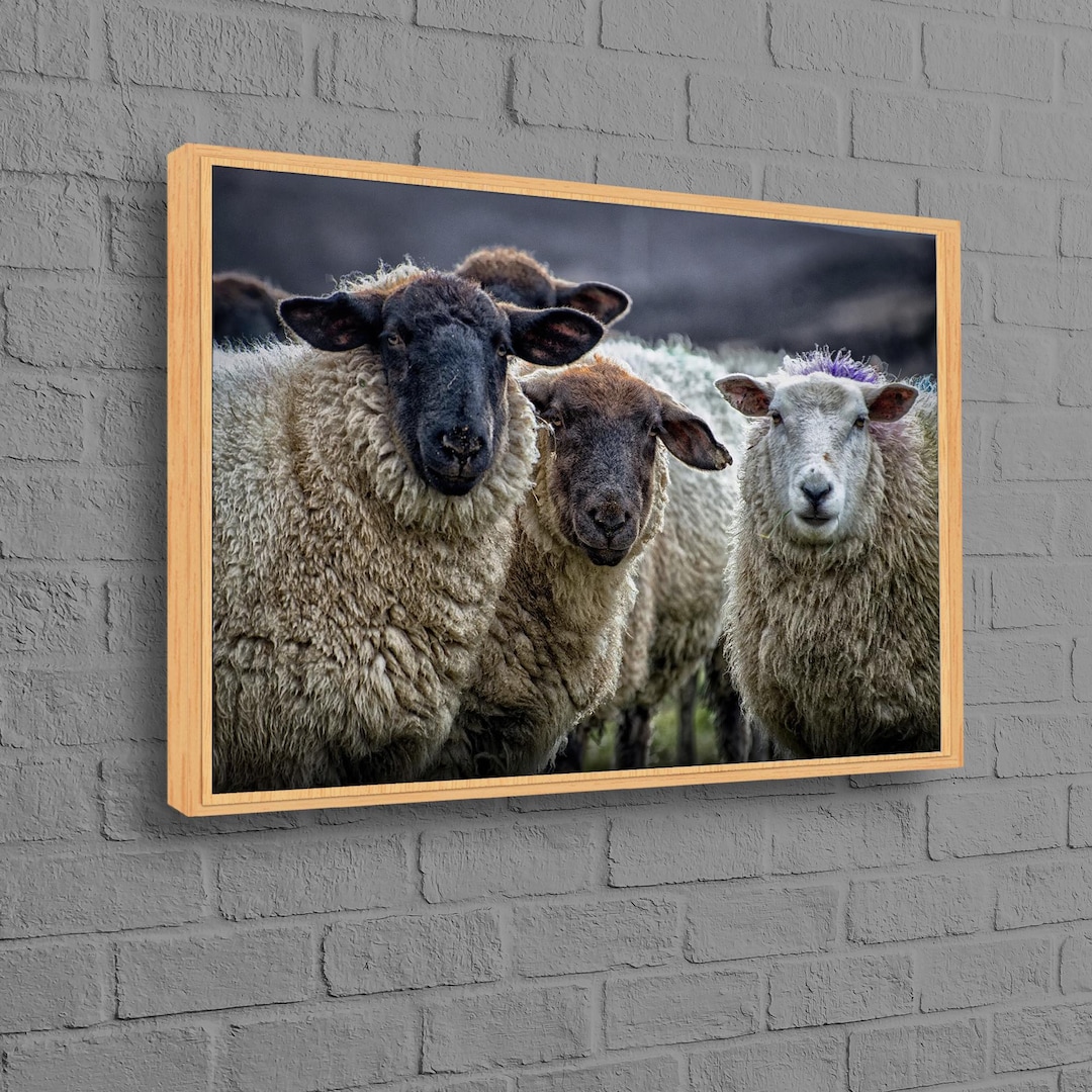Sheep Wall Decor, Farmhouse Canvas Poster, Wall Decoration, Gift for ...