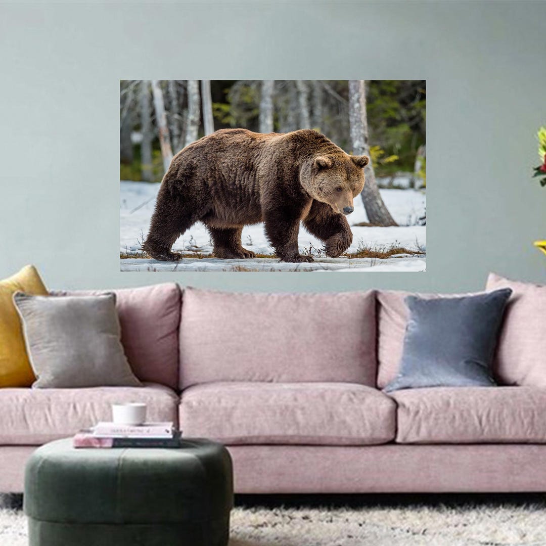 Loft Wall Hanging, Brown Bear Wall Decoration, Man Cave Tempered Glass ...