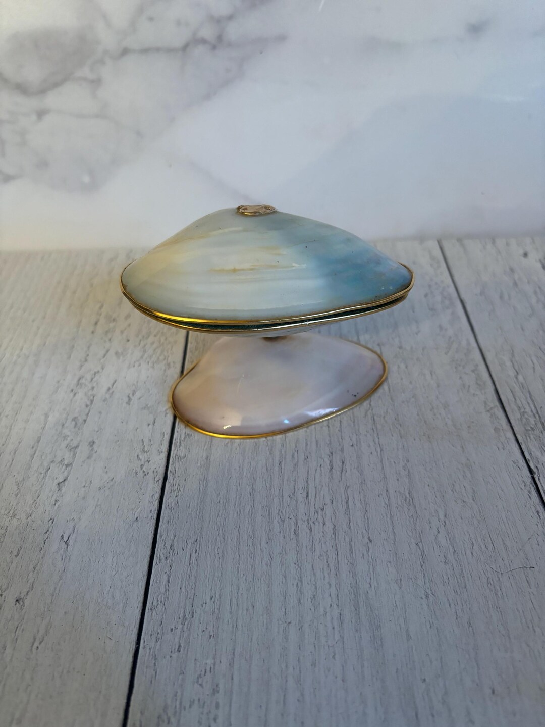 Vintage Clam Shell Box, Tiny Trinket Box, Seashell Trinket Box, Beach ...
