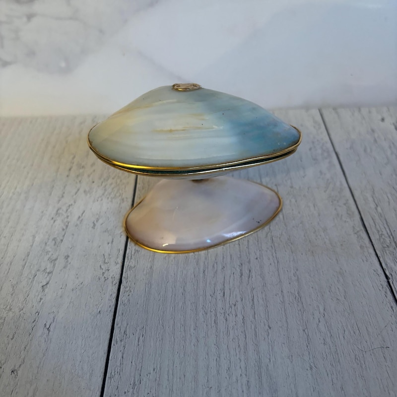 Seashell Ring Box - Etsy