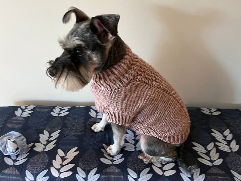 DOMI - Sweater PDF Pattern for Small and Large Dogs and Greyhounds - Etsy