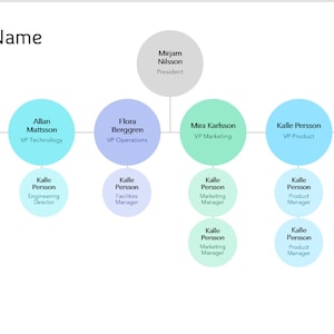 Visualize Your Structure: Microsoft Powerpoint Organization Chart ...
