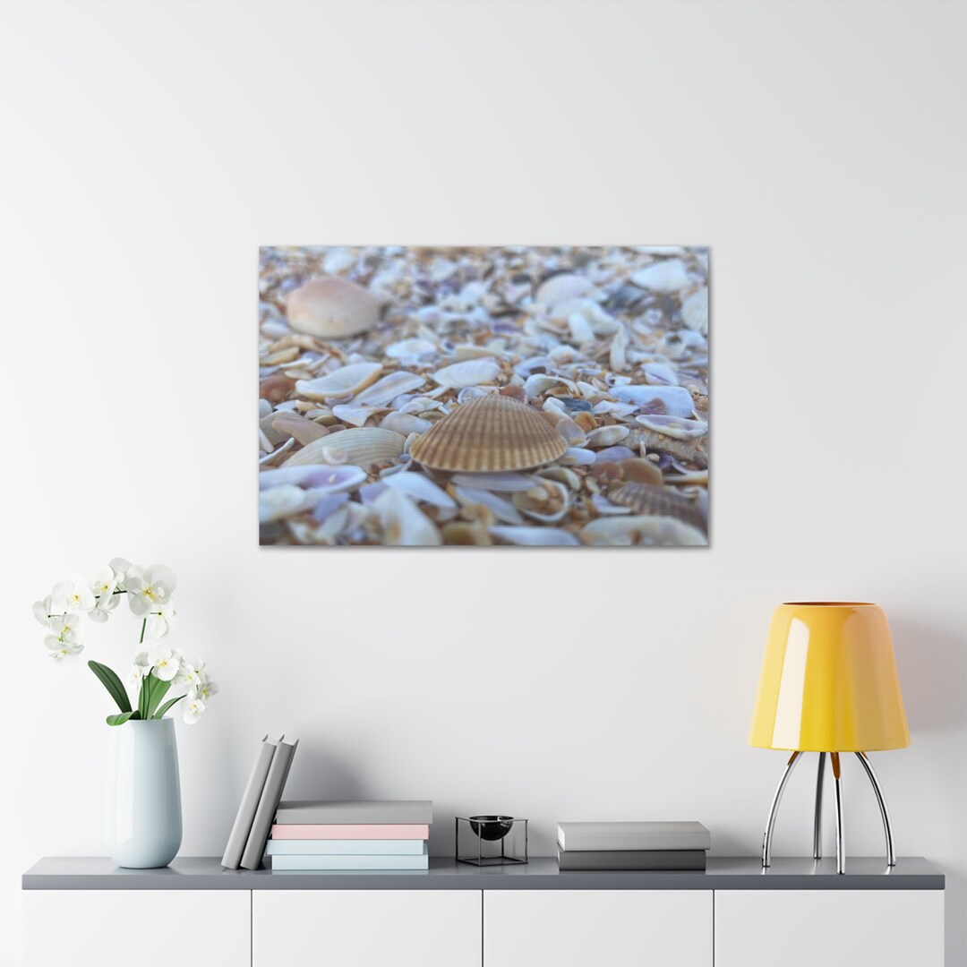 Seashell Canvas - Etsy