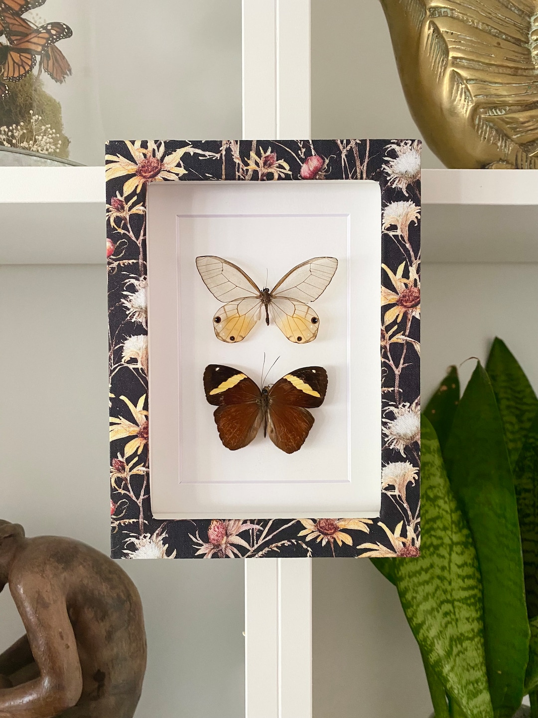 Butterfly Shadow Box Specimen Display Eclectic Home Decor Insect Art ...