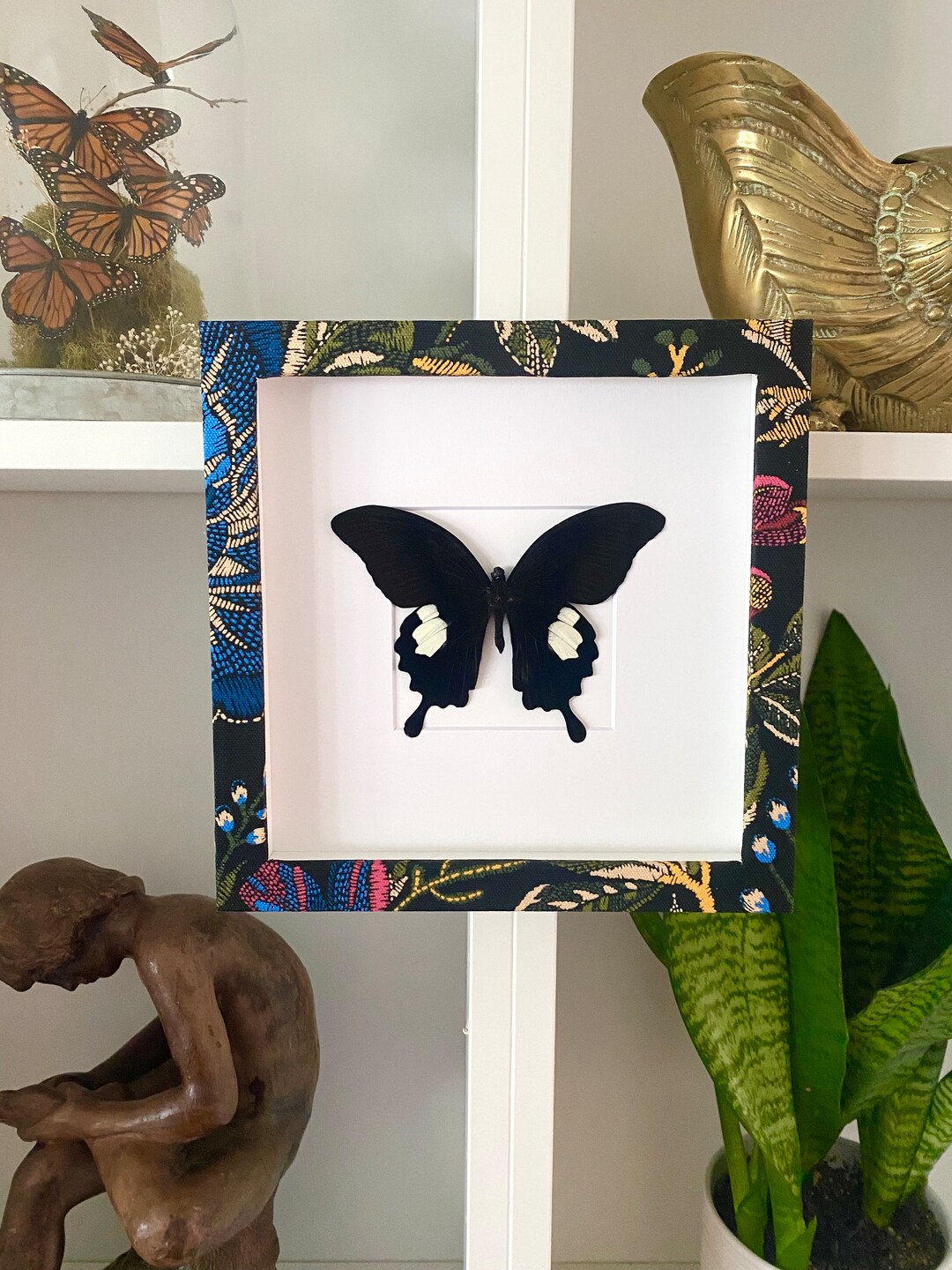 Real Framed Butterfly Moth Display Real Butterfly Art Ethically Sourced ...