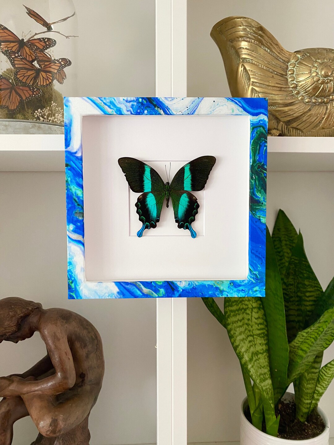 Real Framed Butterfly Moth Display Real Butterfly Art Ethically Sourced ...