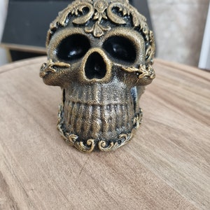 Plaster Casting Skull - Etsy