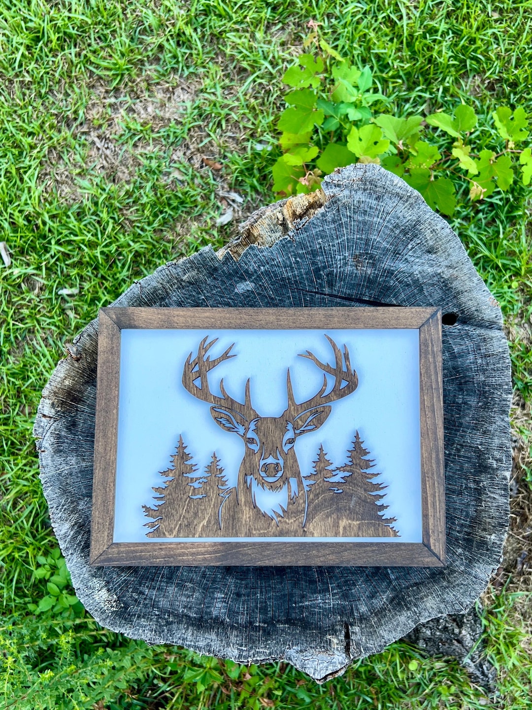 Concealed Storage Box, Hidden Gun Box, Hunter Gift, Deer Head - Etsy