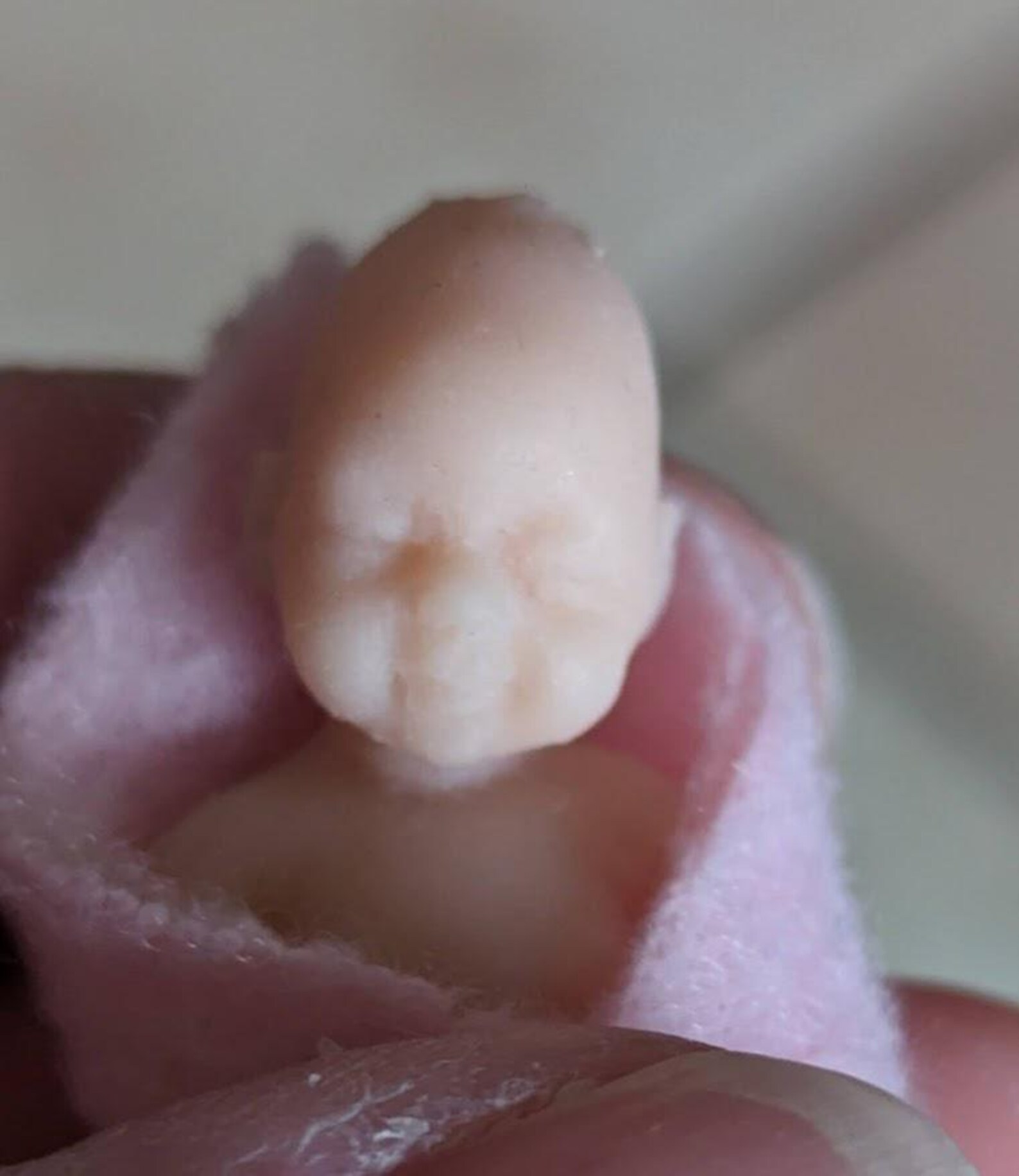 READY TO SHIP! 2" Baby Callie Full Silicone Body Baby Doll Poured in ...