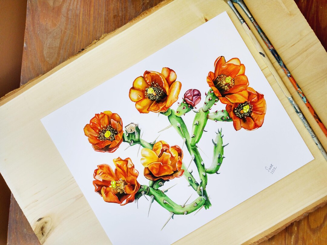 Pencil Cholla Cactus Art Print: Burnt Red-orange Watercolor - Etsy