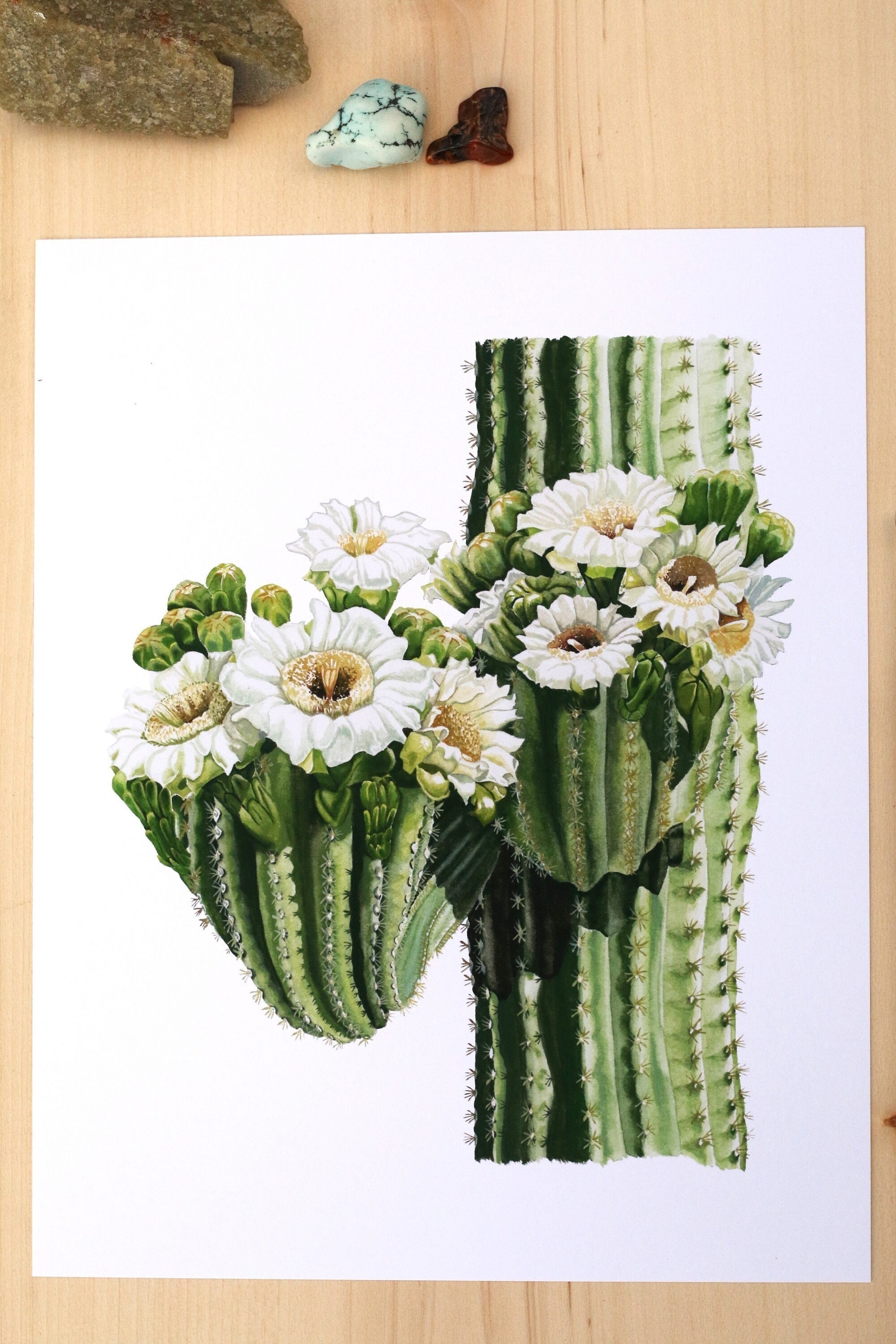 Cactus Flower Art