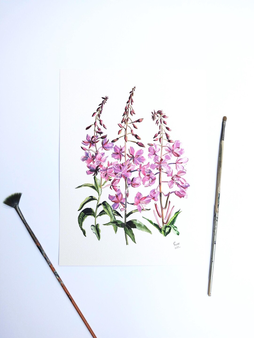 Fireweed Wildflower Original Watercolor Painting. Pink and Green Decor ...