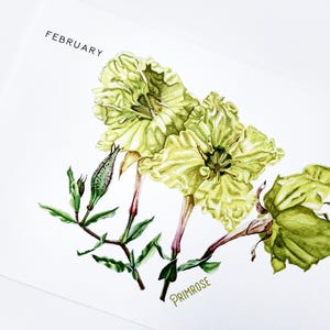 February Birth Month Flower Blank Greeting Card With Envelope Featuring ...