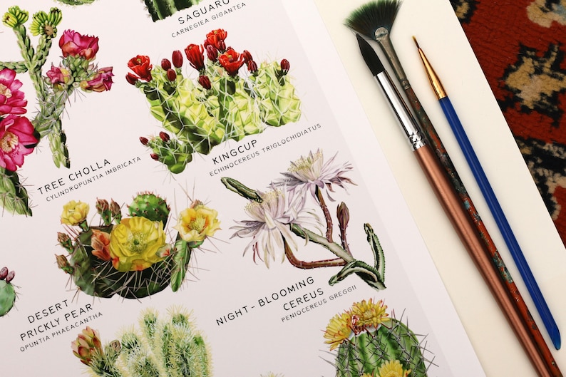 Cactus Poster Cactus Print Cacti Species Wall Art Cacti - Etsy