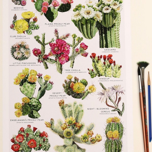 Cactus Poster - Etsy