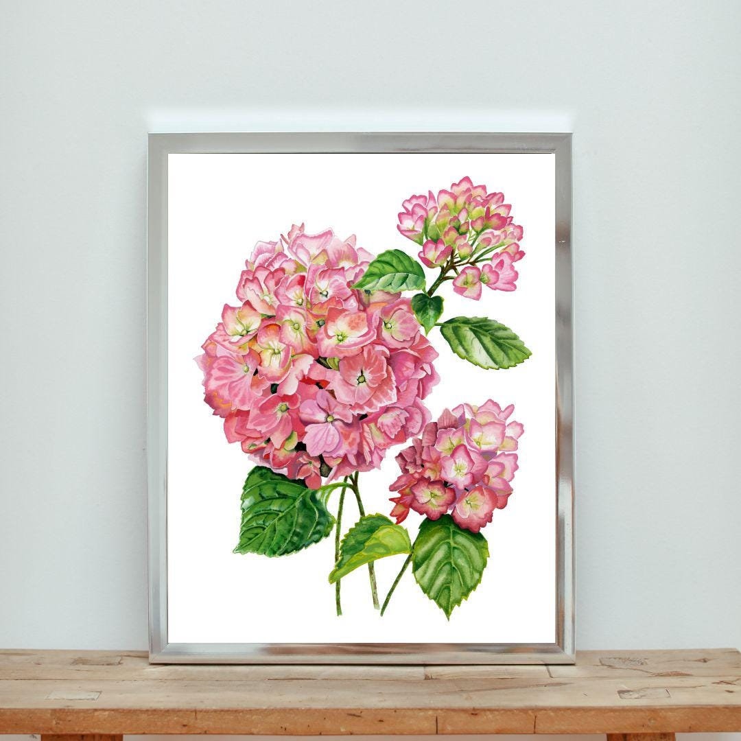 Pink Hydrangea Original Watercolor Painting - 8x10 or 11x14 Print - Etsy