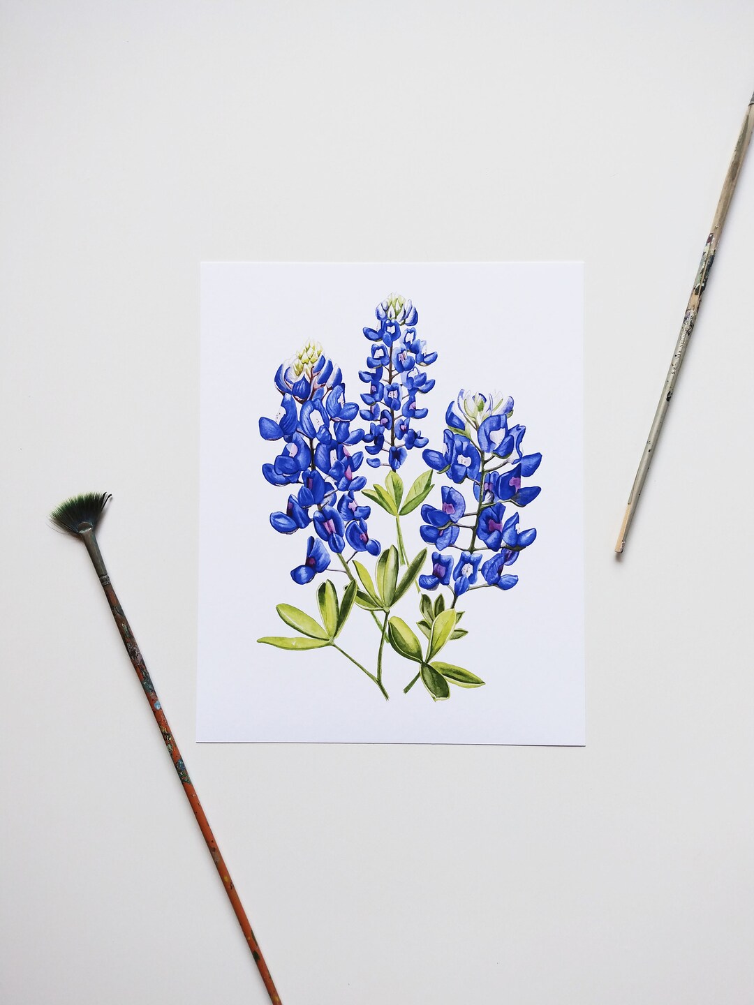 Texas Bluebonnet Watercolor Print. Bluebonnet Meadow. Native Wildflower ...