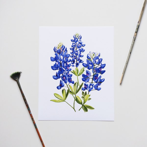 Bluebonnet Art - Etsy
