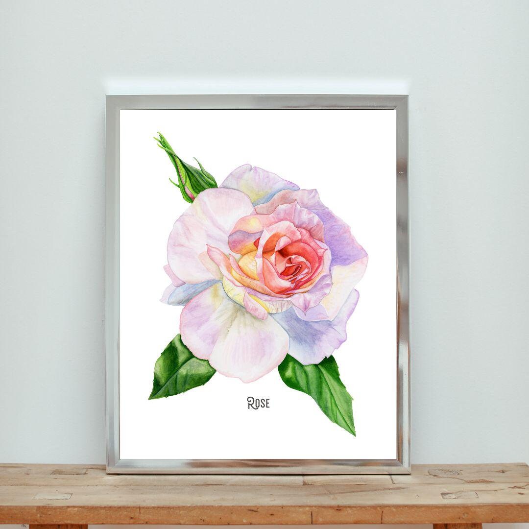 Rose Watercolor Print. Pink Rose Painting. Pink Watercolor Floral ...