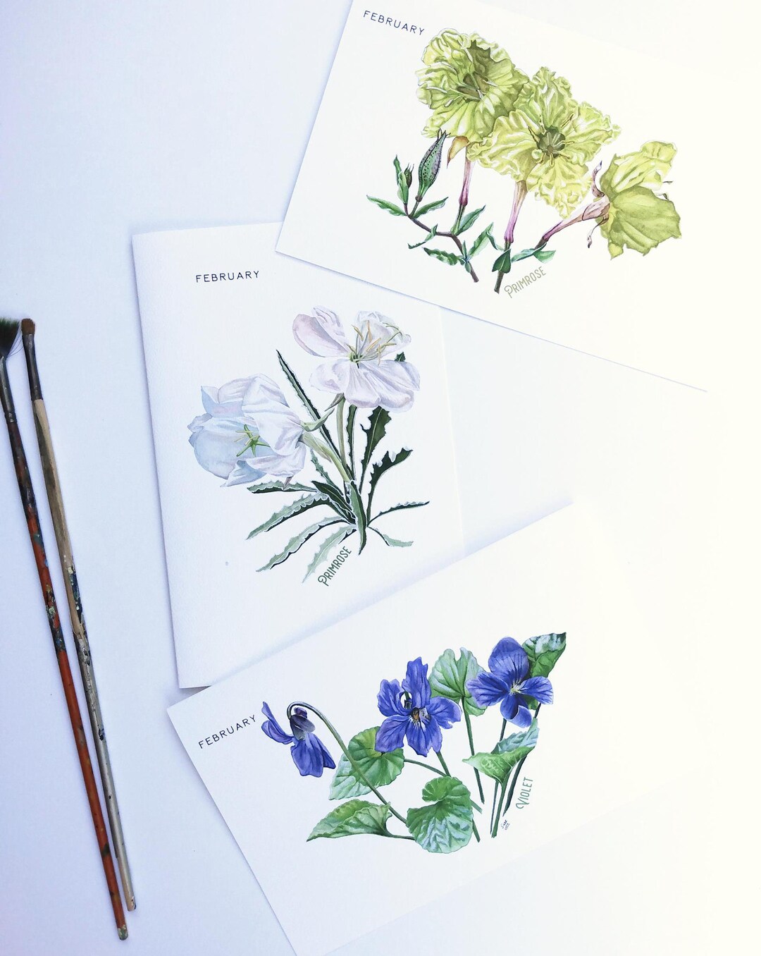 February Birth Month Flower Blank Greeting Card With Envelope Featuring ...