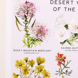 Desert Wildflower Poster | 13x19 Inch | Wall Art | Wildflower Botanical ...