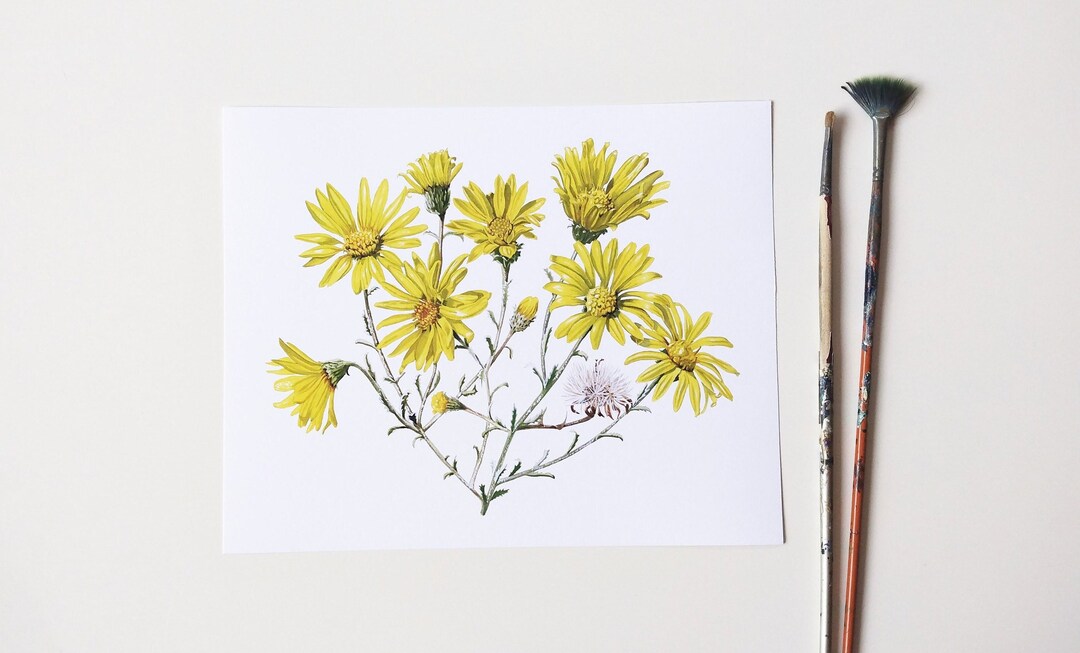 Tansyaster Native Wildflower Print. Watercolor Flower Botanical Wall ...