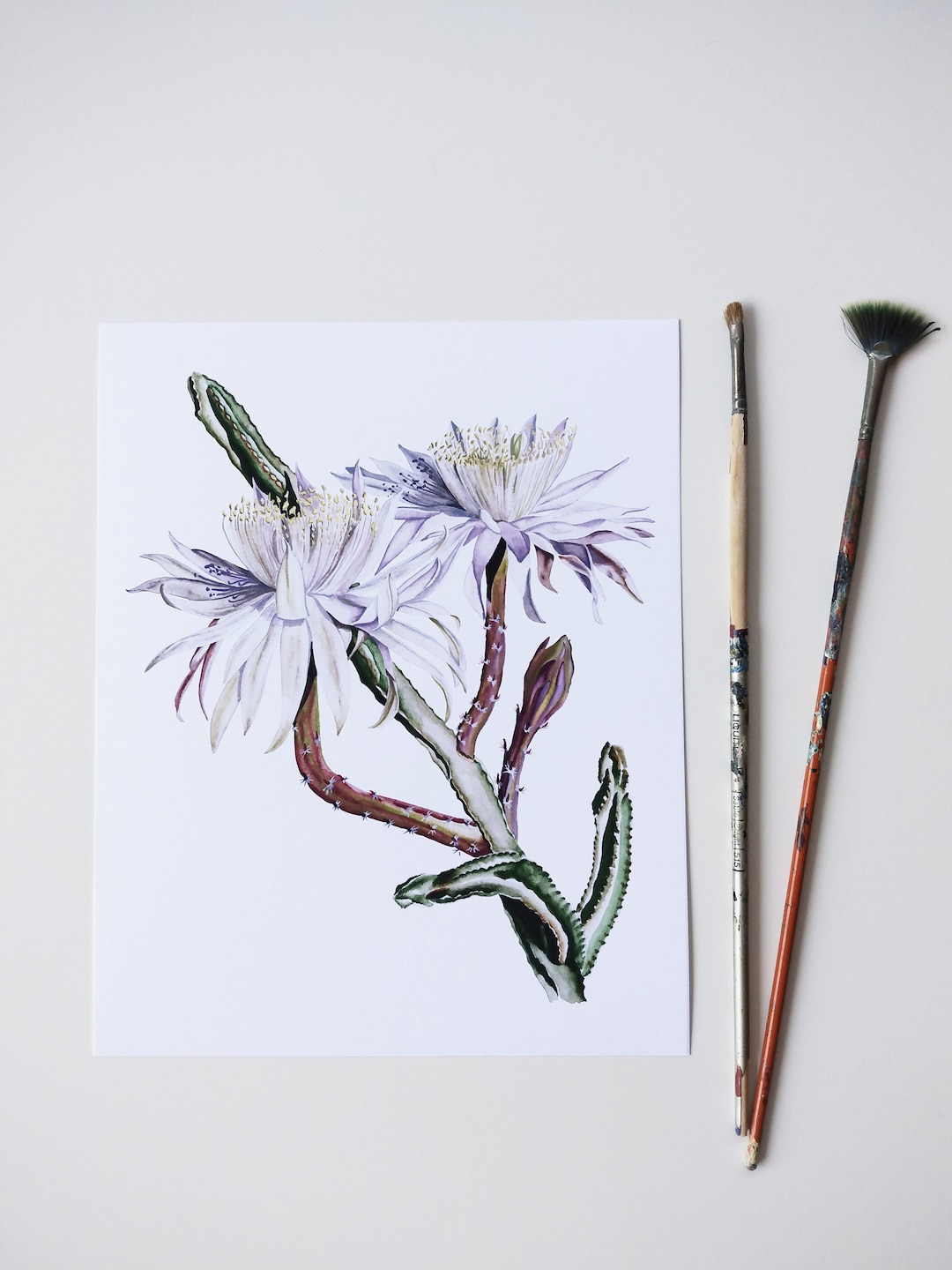 Cactus Print Wall Art. Night-blooming Cereus Arizona Queen of the Night ...