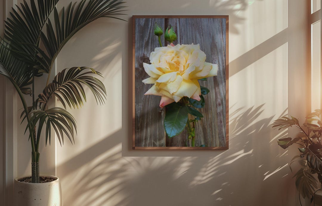 Wall Mural “yellow Rose” - Poster With Picture Frame - Wall Decoration ...