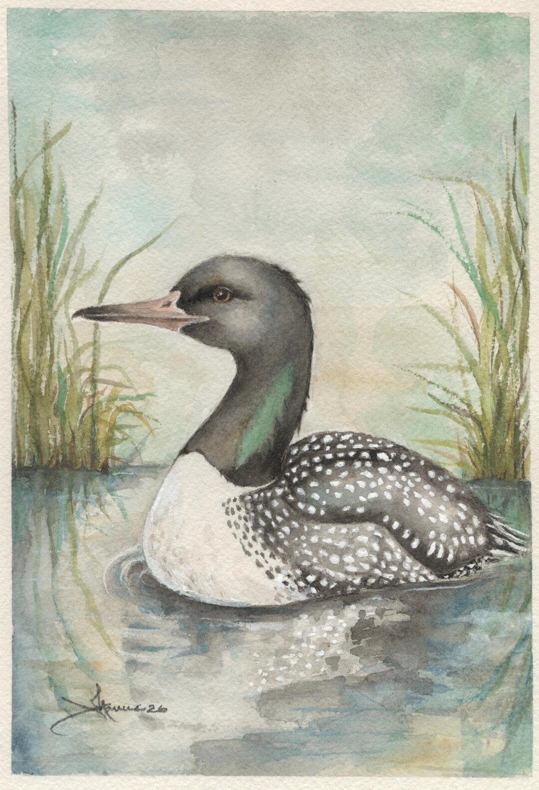 BIRD Loon on the Lake~original Signed Watercolor Painting 8x6 Inch ...