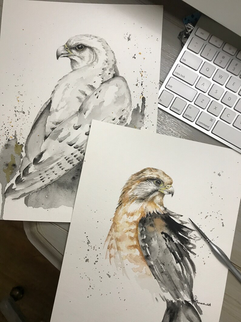 Bird - NEW ART -portrait Cooper’s Hawk Original Watercolor Painting, 8 ...
