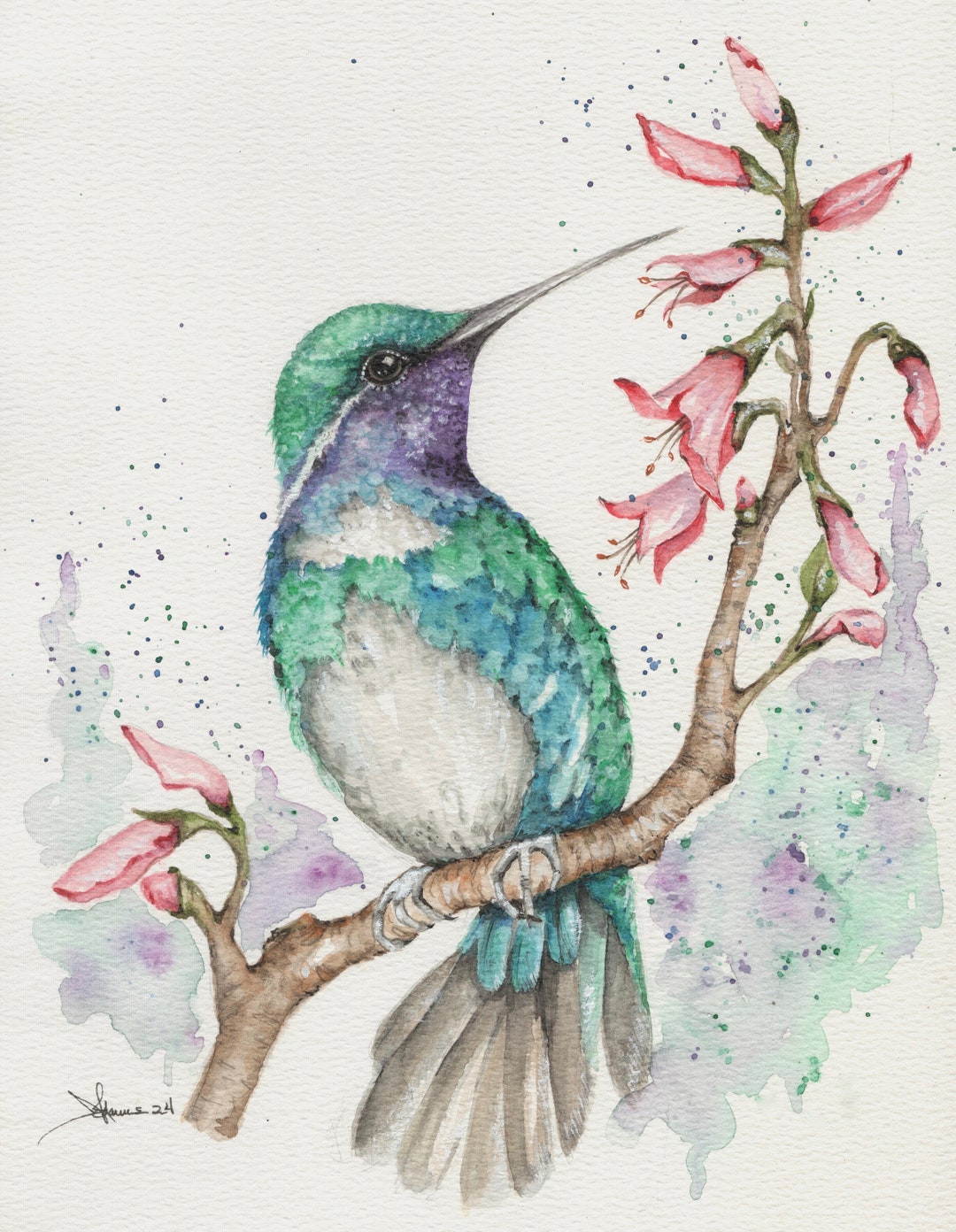 Hummingbird-original Bird Art 8x10 Signed Watercolor Painting, Matted ...