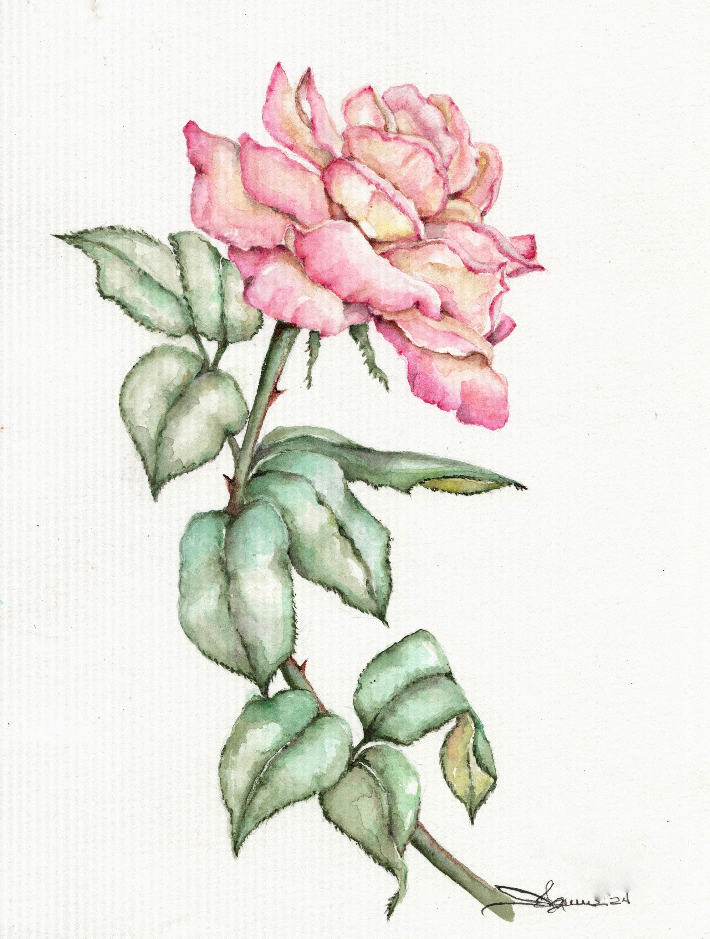 Single Pink Rose Watercolor Painting, Valentine Love 8x10 - Etsy