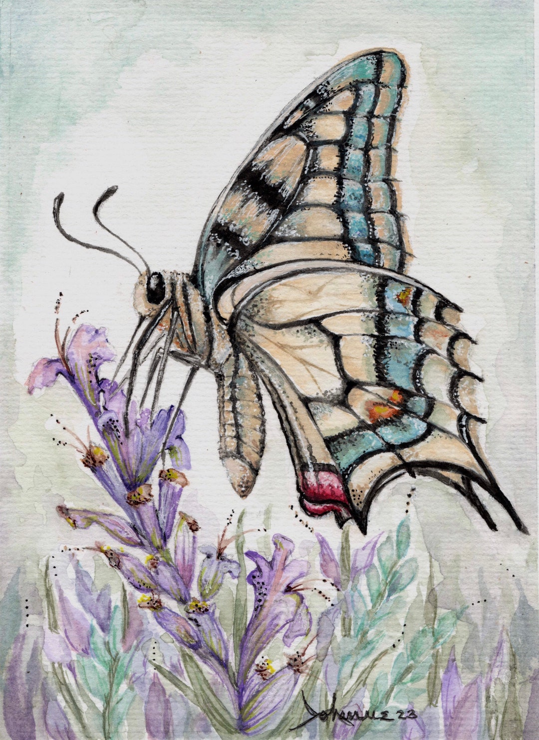 Blue Banded Swallowtail Butterfly Original Watercolor Painting 8x6 ...