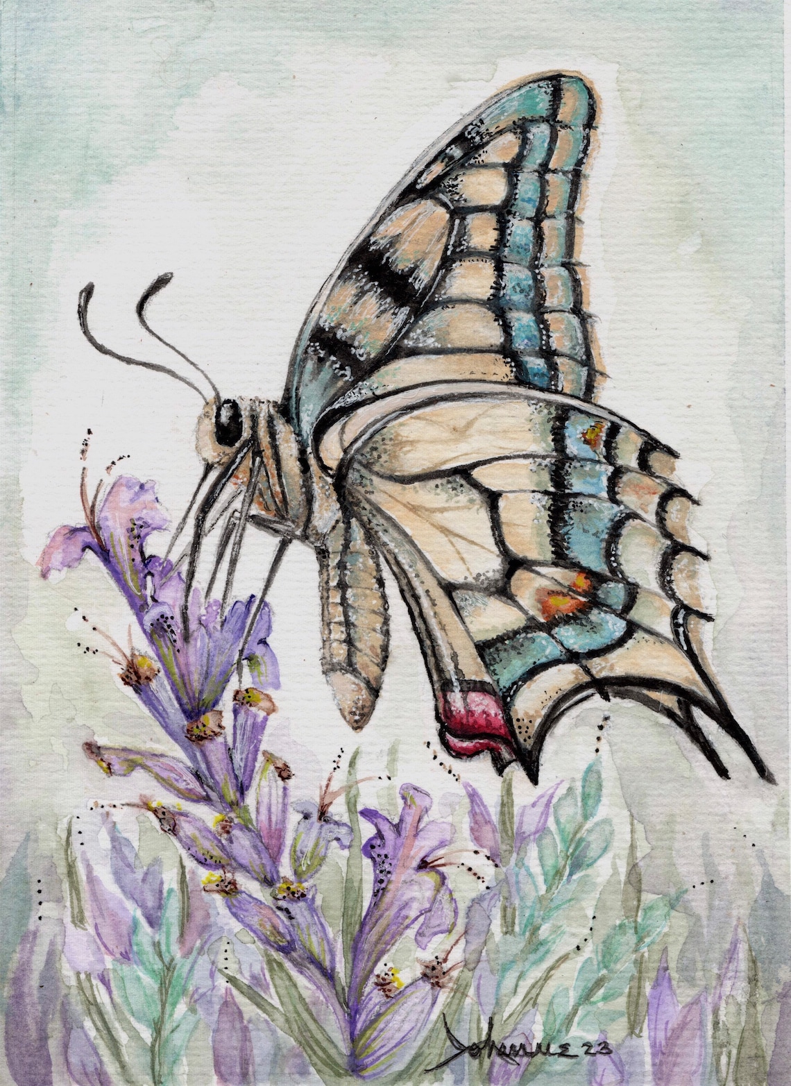 Blue Banded Swallowtail Butterfly Original Watercolor Painting 8x6 ...