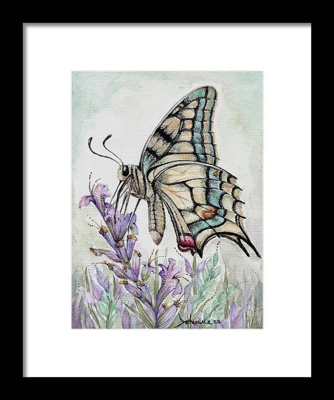 Blue Banded Swallowtail Butterfly Original Watercolor Painting 8x6 ...