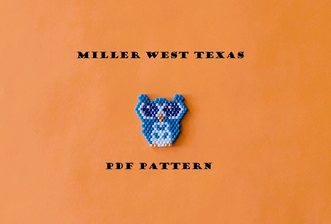 Wide Eyed Owl Brick Stitch Pattern - Etsy
