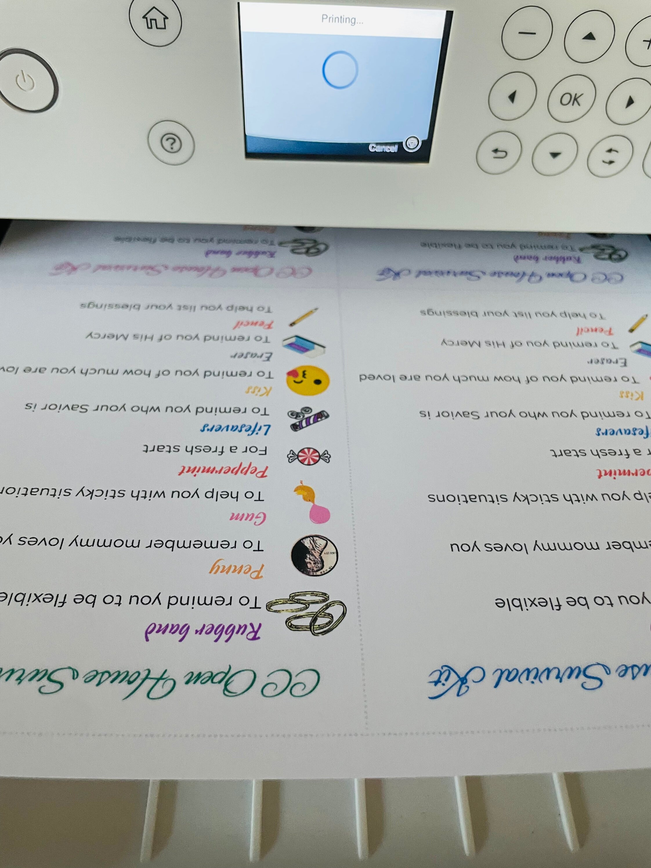 CC Survival Kit, Tutor, Director, Parent, School, for Practicum, Back ...