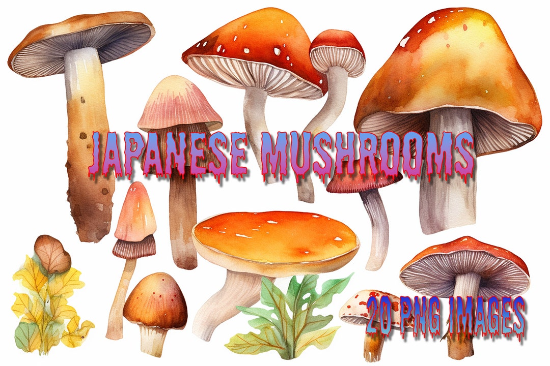 Vibrant Japanese Mushroom Watercolor Clip Art - High-detail PNG ...