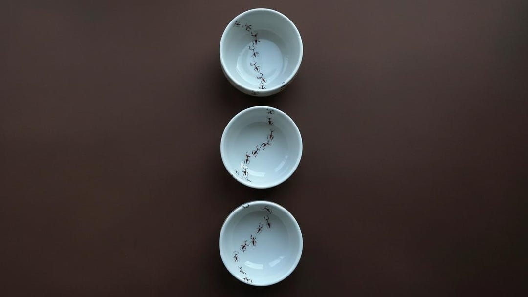 Porcelain Bowl Hand-painted Walking Ants - SET of 3 - Overglaze ...