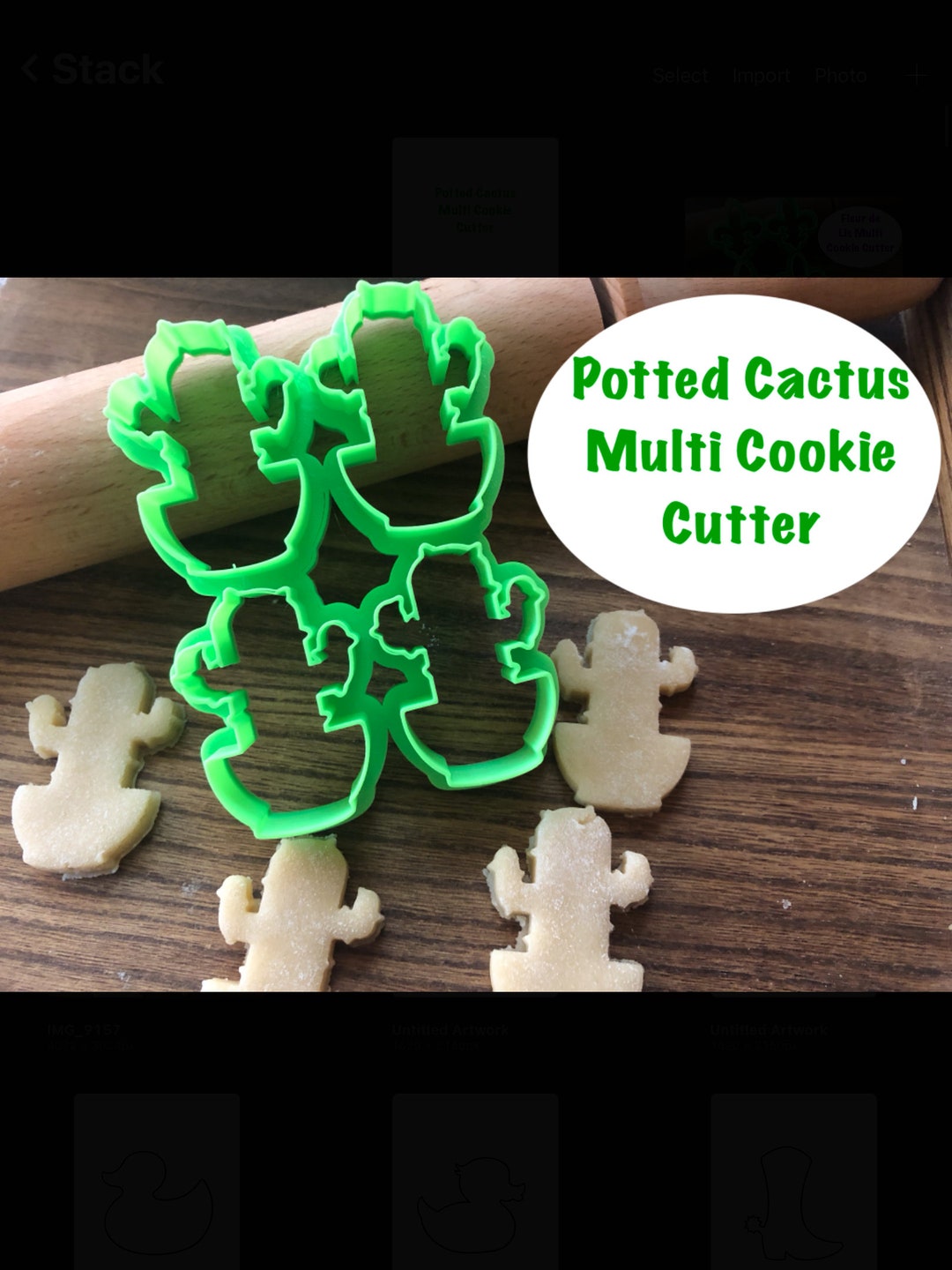 Potted Cactus Cookie Cutter, Plant, Desert, Multi Cookie Cutter - Etsy