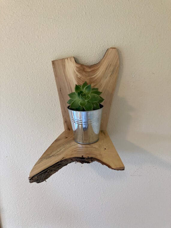 12x8x10 Live Edge Floating Shelf or Salt Block Holder Maple - Etsy