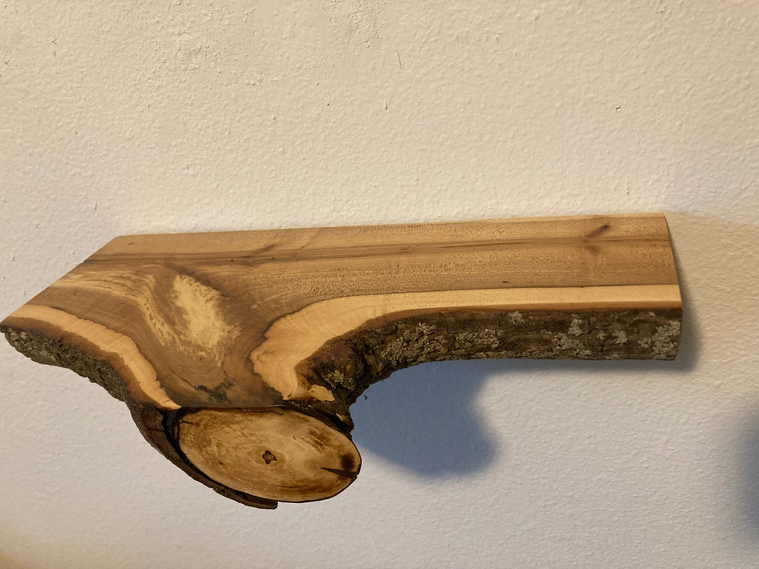 MAPLE BARK BOTTOM Live Edge Floating Shelves, 12 - 16 Inch Lengths ...