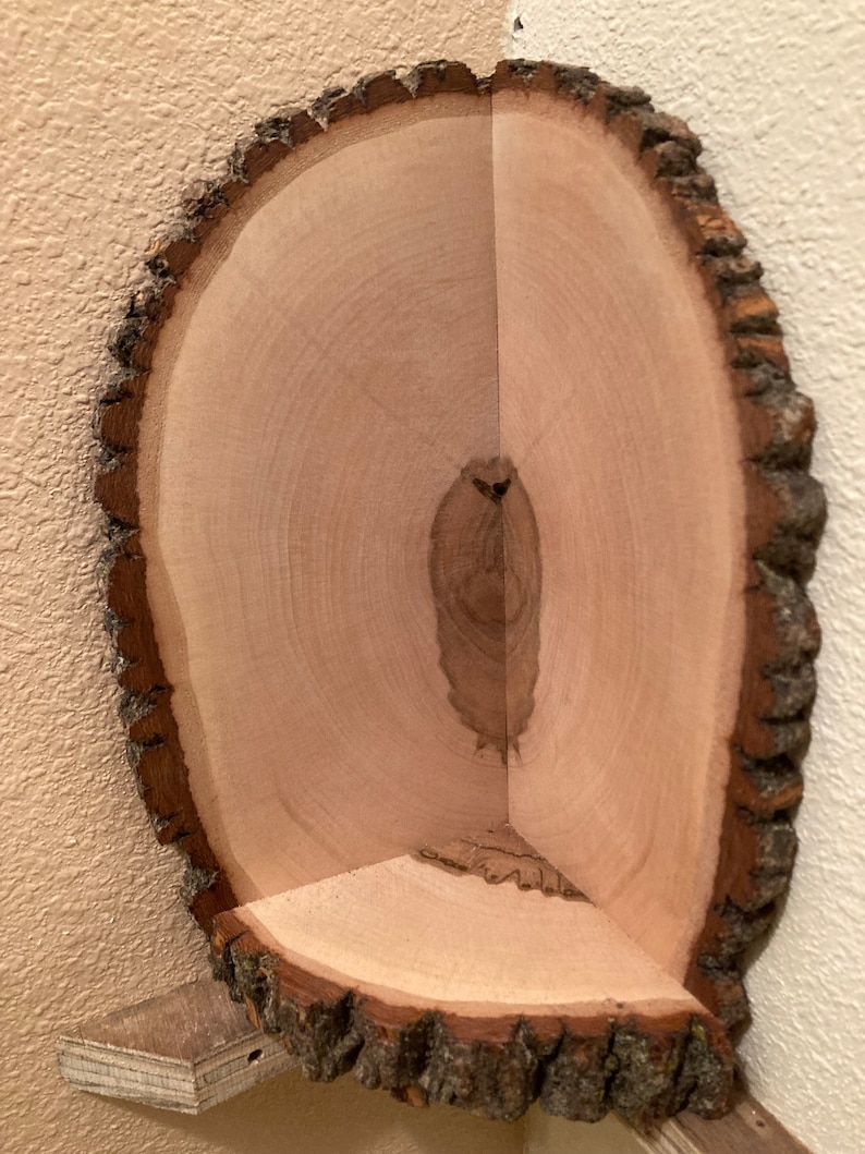 10x6x5 Live Edge Floating Corner Shelf or Desk Shelf SPUD, Maple ...