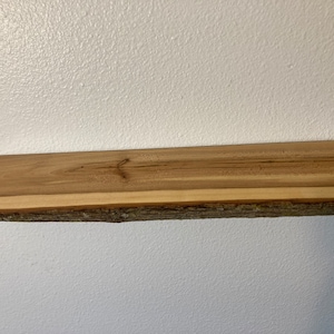 MAPLE BARK BOTTOM Live Edge Floating Shelves, 12 - 16 Inch Lengths ...