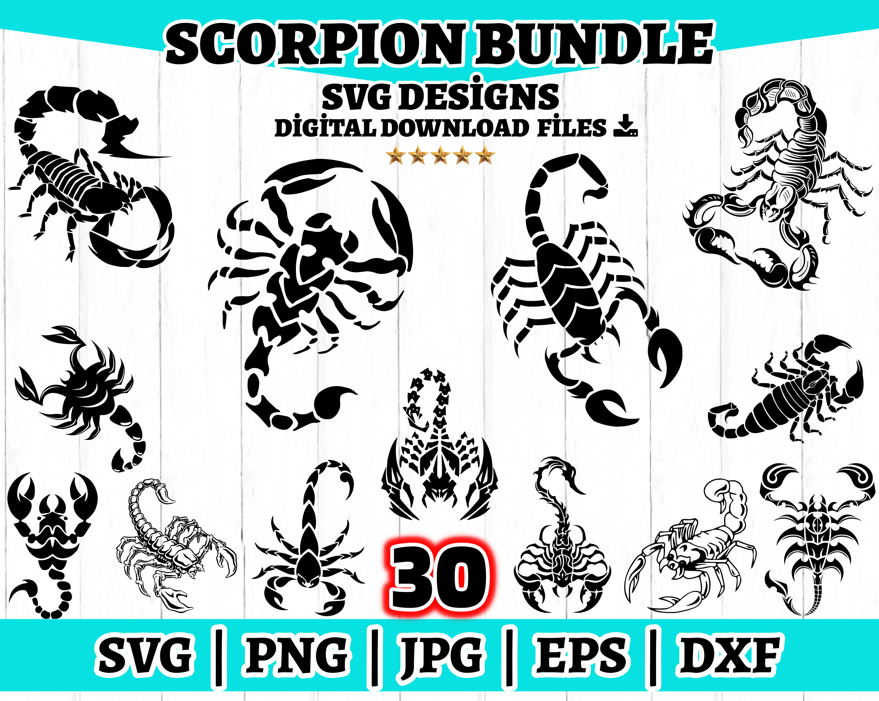 Scorpion SVG, Scorpion Svg Bundle, Scorpion Clipart, Scorpion Vector ...