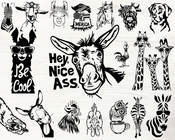 Funny Animals Svg Bundle Animals Clipart Svg Files for - Etsy Australia